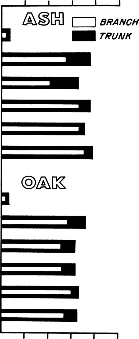 T He Am Ount Of Healing Of Branch Pruning Wounds And Elliptical Trunk