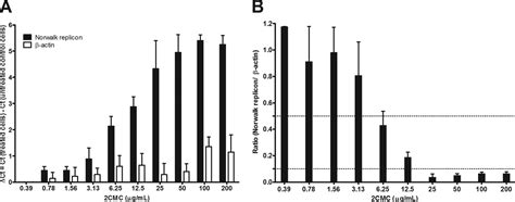 Norwalk Virus Replication