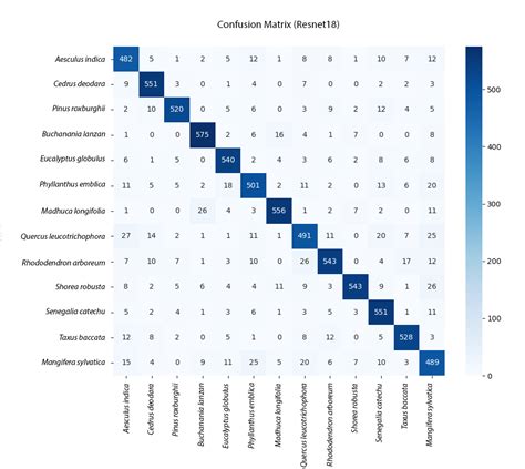 Github Forest Economy Alliancebarkvisionai Barkvisionai A Dataset Of 167361 Labeled Tree