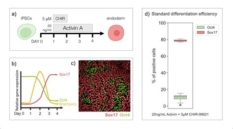 Understanding Signalling Pathways Involved In The Development Of