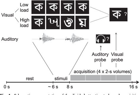 Figure 1 From Anterior Paracingulate And Cingulate Cortex Mediates The
