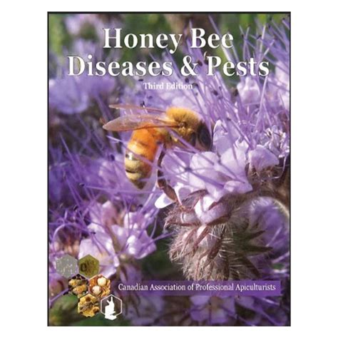 Honeybee Diseases And Pests Bee Maid Honey Online Store
