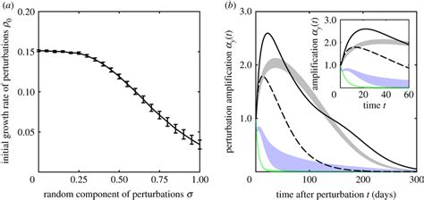 Amplification Of Small Perturbations To The Dfe Over Different Time