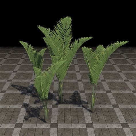Online Plant Cluster Majesty Palm Uesp Wiki The Unofficial Elder Scrolls Pages