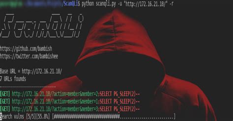 scanqli to detect sql vulns injection scanner 2019