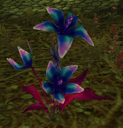 Corrupted Songflower Wowpedia Your Wiki Guide To The World Of Warcraft