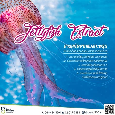 🐙 Jellyfish Extract สารสกัดจากแมงกะพรุน🐙 Jellyfish Extract สารสกัดจาก