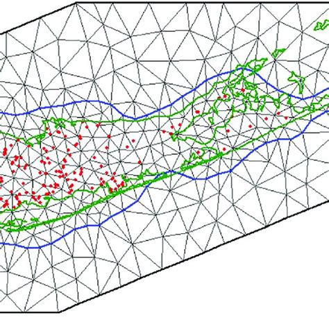 Triangulation Mesh Used To Obtain The Spatial Covariance With The Download Scientific Diagram
