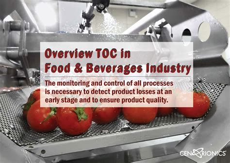 Overview Toc In Food And Beverages Industry Centrionics General Industry