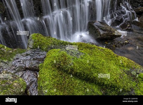 Chinas Ecological Landscape In The Funiu Jungle In Western Henan Stock