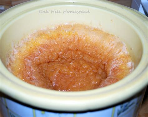 Making Soap With Goat Milk Hot Process Oak Hill Homestead