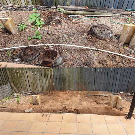 Tree Chipping Services Tree Mulching Services Woodchipper