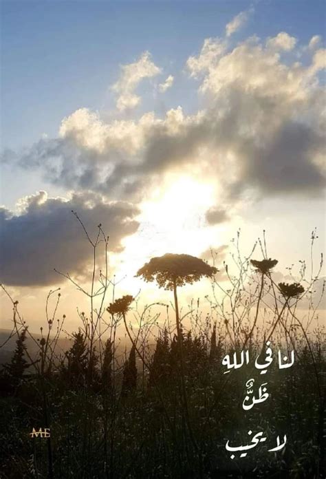 mahmoud mahmoud posted on linkedin