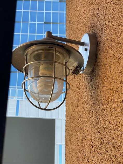 How To Remove A Small Hornets Nest About 15 Ft Away From My Balcony