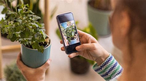 save 66 on a lifetime subscription to this helpful plant identification app codewithcode