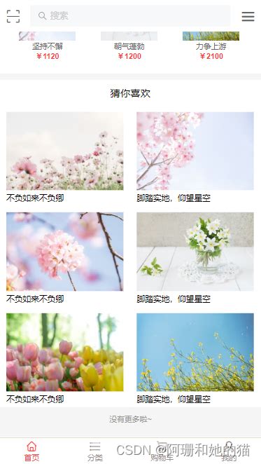 简单小众电商购物项目模板：基于 Vue 3 和 Vant 4 的纯前端开发方案vue商城模板 Csdn博客