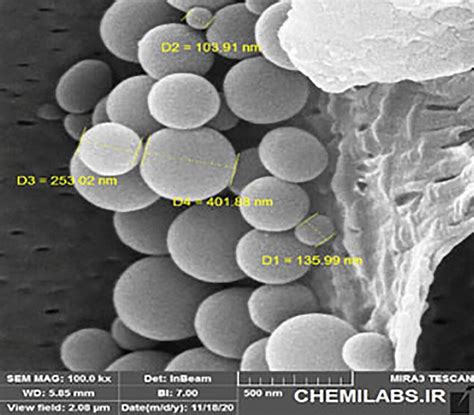 Fe Sem Image Of Ceo2sio2 Nanoparticles Download Scientific Diagram