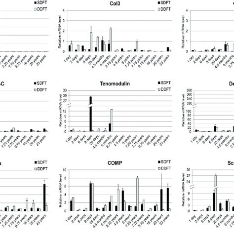 Expression Of Tendon Relevant Genes For The Sdft Black Bars And Ddft