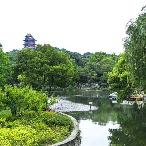 极美南京绿道 鼓楼邂逅夏日的怦然心动 公园 河道 绿色
