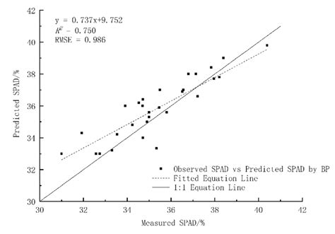 Modeling Results Of Bp Neural Network Download Scientific Diagram