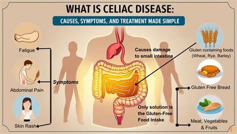 Celiac Disease Symptoms Causes And Management