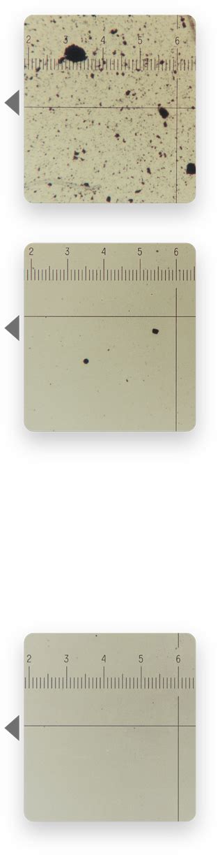 Entendendo O Iso 4406 Fms