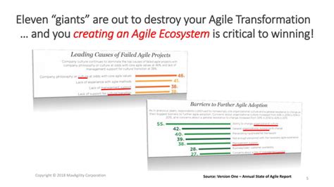 How Leadership Can Form An Agile Ecosystem Pdf