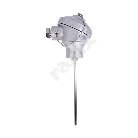 Rtd Sensor With Terminal Head Rhw201 At Best Price In Mumbai