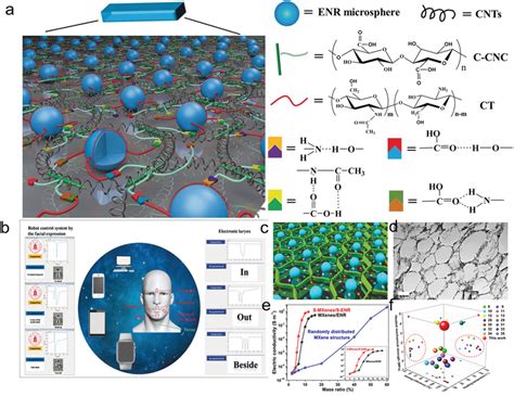 A Proposed Supramolecular Multiple Hydrogen Bonding Network Combined