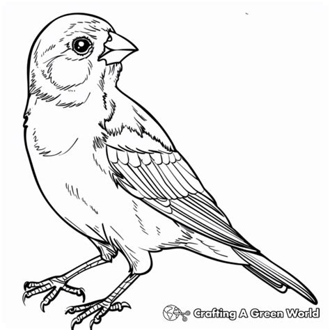 Tracing Coloring Pages Free And Printable