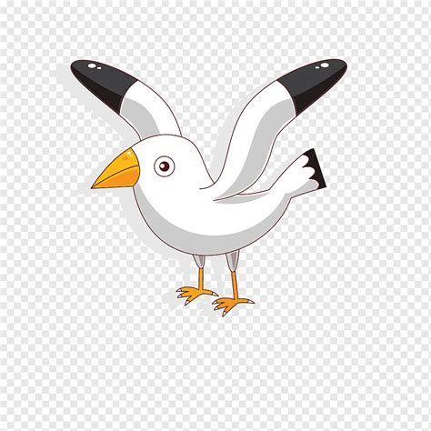 흰색과 검은 색 새 만화 조류 만화 흰 갈매기 만화 캐릭터 만화 화이트 Png Pngwing