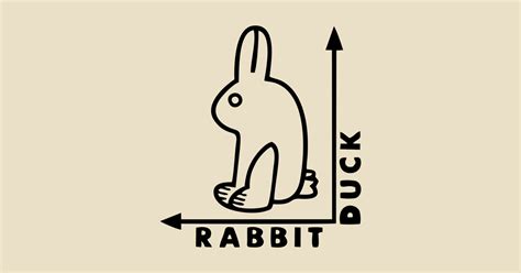Rabbit Duck Optical Illusions Light Diagram Optical Illusions T