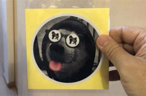 五式typer白godが到着