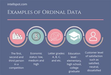 Ordinal Data Examples You Should Know
