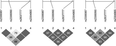 Linkage Disequilibrium Ld Mapping In Fat Gene All Investigated Loci