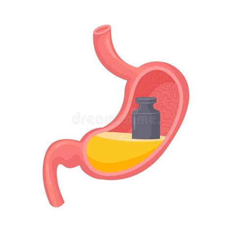 Heaviness In Stomach Isolated Vector Illustration Gases Problem