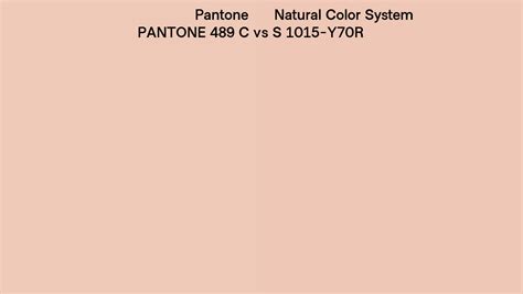 Pantone 489 C Vs Natural Color System S 1015 Y70r Side By Side Comparison