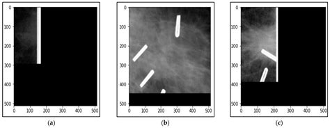 Biomedicines Free Full Text A Hybrid Workflow Of Residual