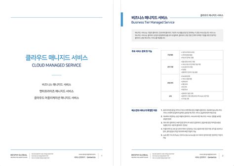 베스핀글로벌 매니지드 서비스 Bespin Global