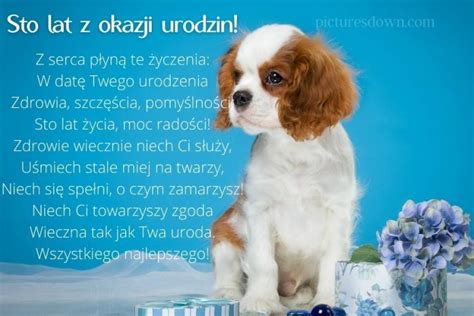Darmowe Kartki Urodzinowe Do Pobieranie Obrazki Na Urodziny
