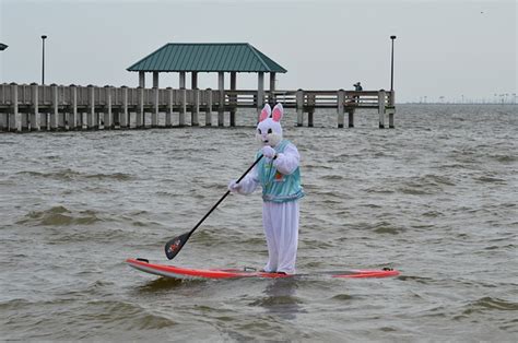 Sandheden Om Paddleboard 8 Ting Du Helt Sikkert Endnu Ikke Kender