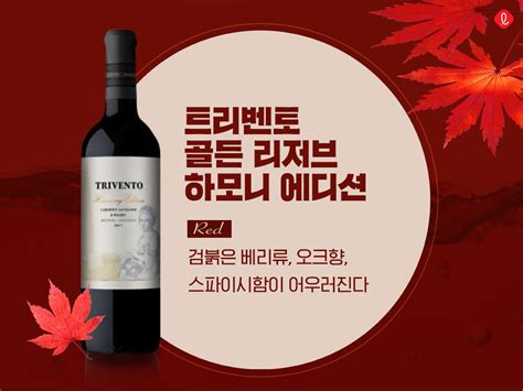2019 가을 한정판 와인 4종 추천 초심자와 와인 애호가 모두를 위한 와인 롯데 공식블로그