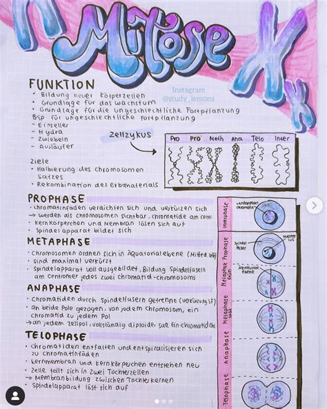 Pin By Áhméd Gámál On Credits Medical School Inspiration Nursing