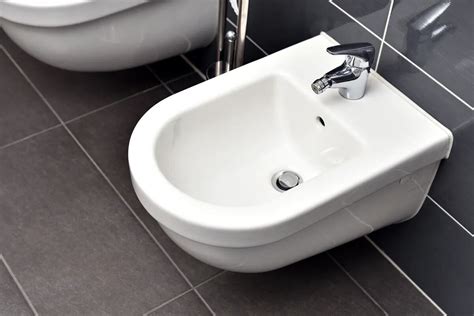 Bidet por qué los argentinos aman este singular integrante del baño