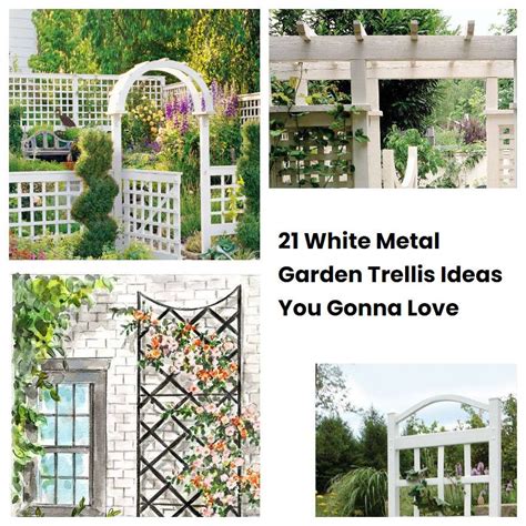 21 White Metal Garden Trellis Ideas You Gonna Love SharonSable