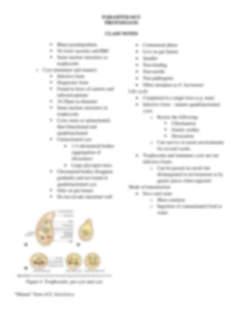 Solution Protozoa Parasitology Biology Studypool