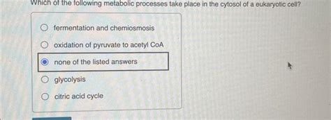 Solved Which Of The Following Metabolic Processes Take Place Chegg
