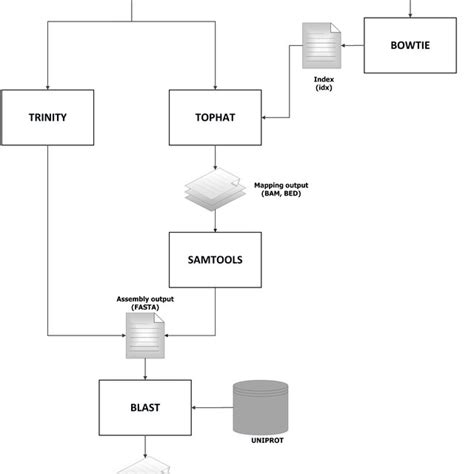 Workflow 1 Table II Information Of Executed Workflows W Phases Data Download Scientific