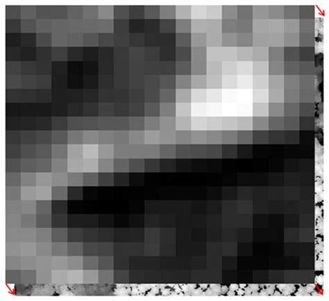 fusion of dense airborne lidar and multispectral sentinel 2 and