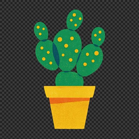 Cactus Shape Images Free Photos Png Stickers Wallpapers